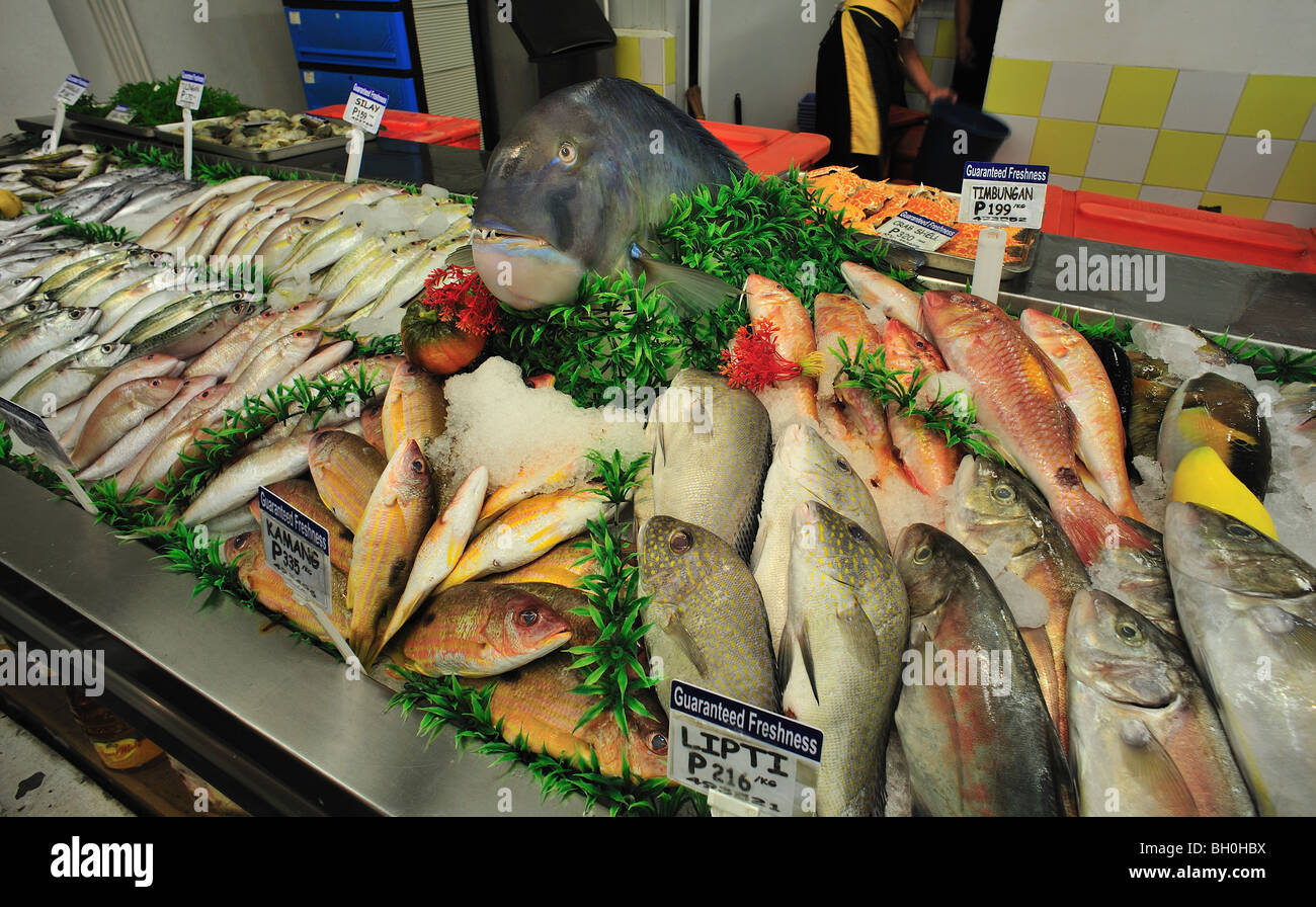 étal de poissonnerie Banque de photographies et d’images à haute ...
