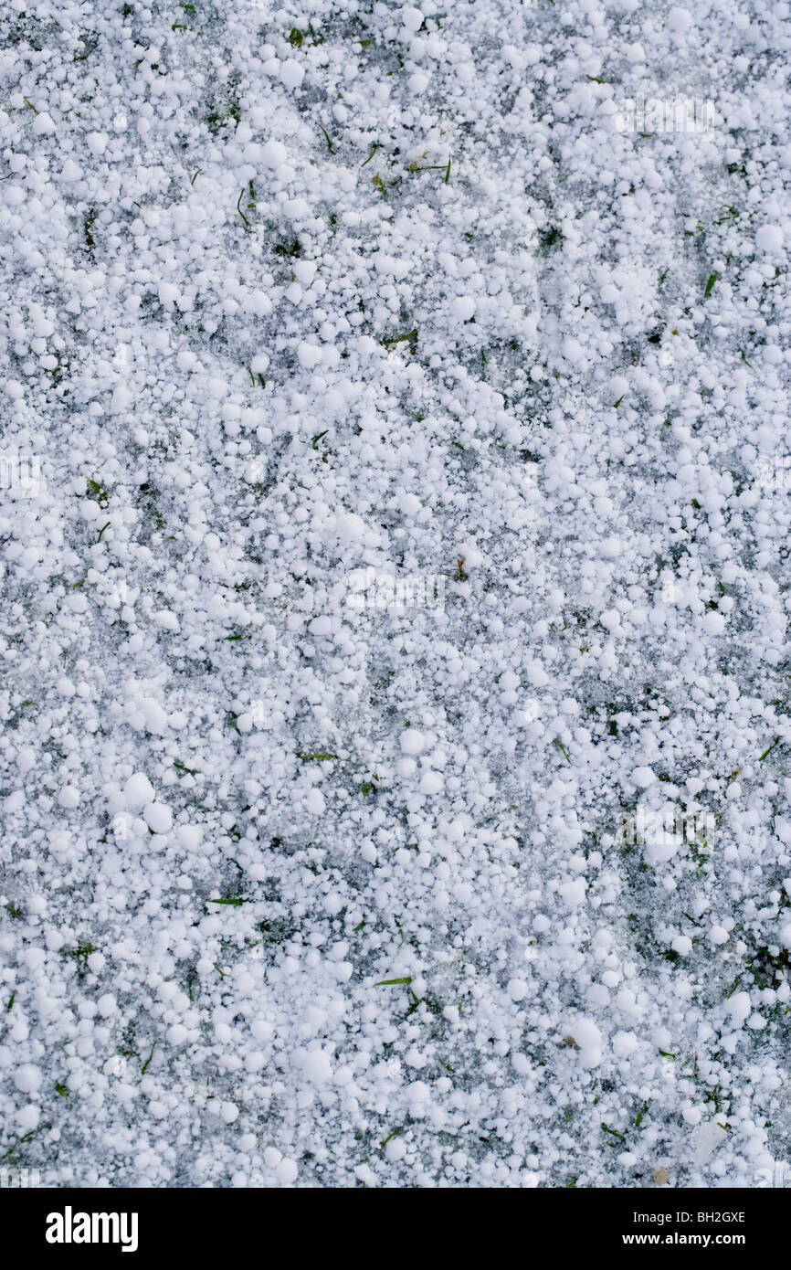 La grêle La grêle ; la fonte. De différentes tailles. Janvier, Norfolk ...