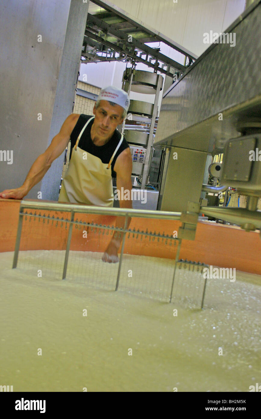 Fabrication de fromage de Beaufort d'ÉTÉ À LA COOPÉRATIVE DE BEAUFORT ...