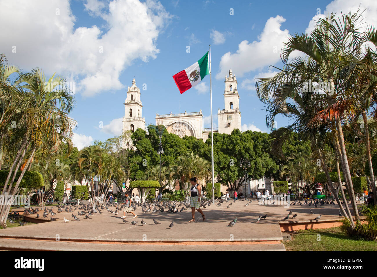 Merida mexico zocalo cathedral Banque de photographies et d’images à ...