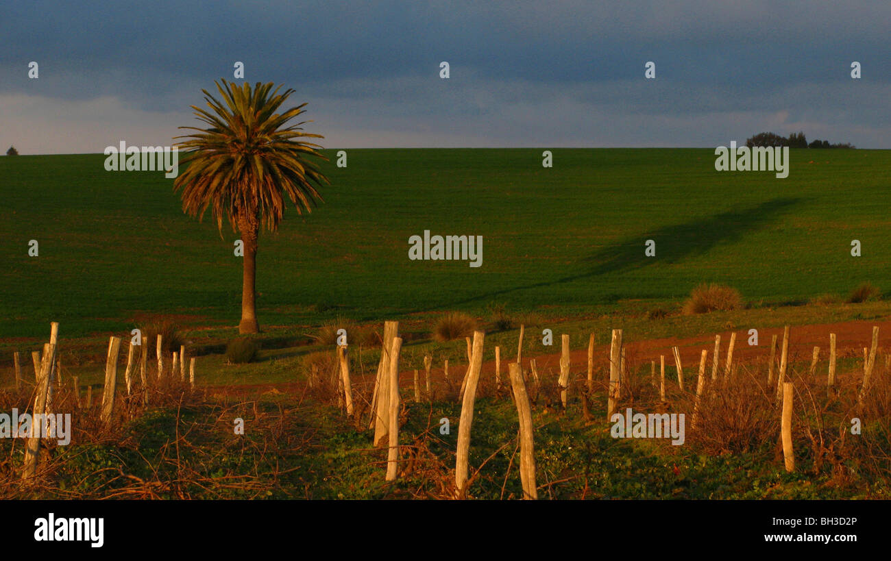 Benslimane maroc Banque de photographies et d’images à haute résolution ...