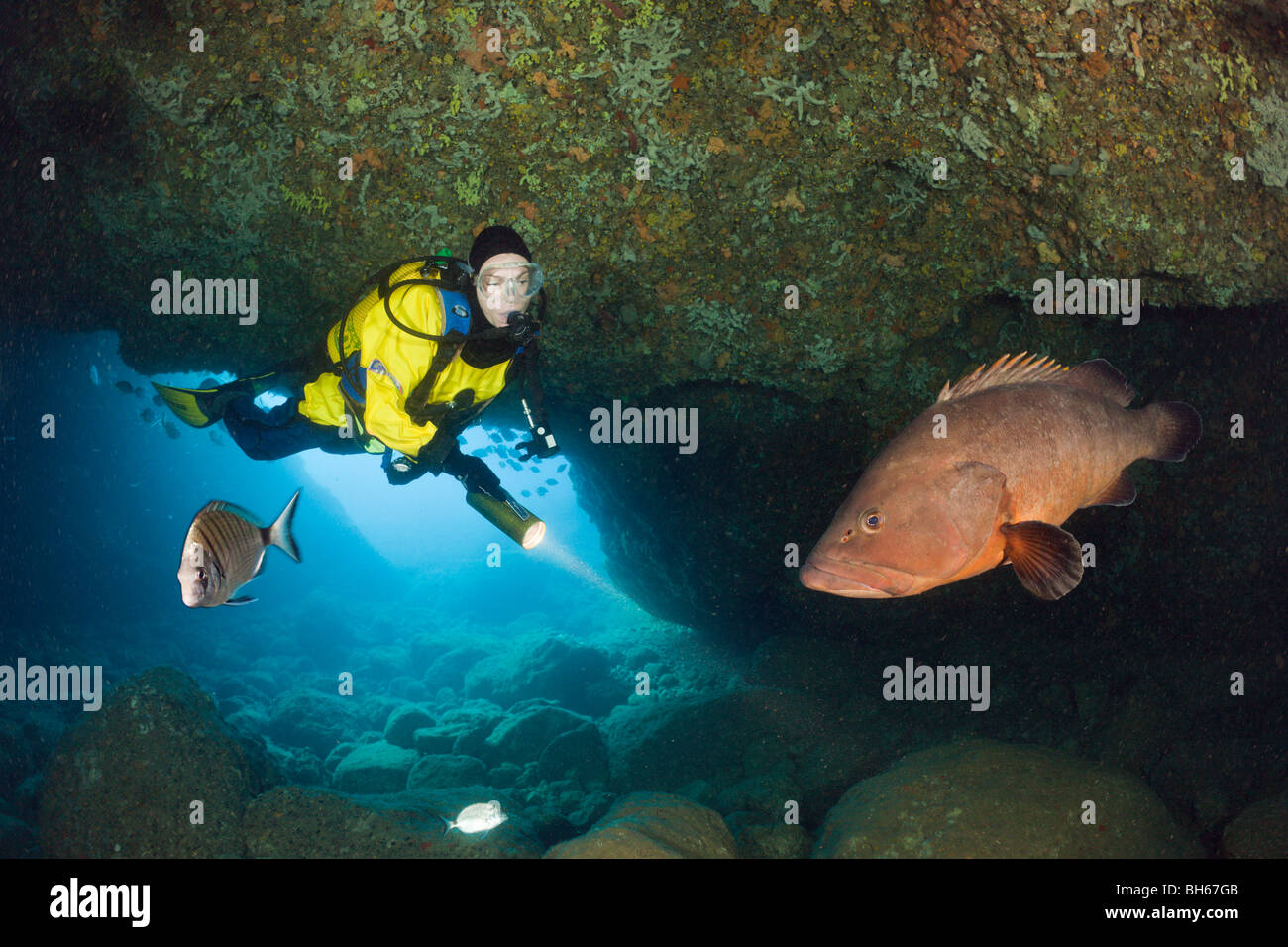 Grotte Marine Banque d'image et photos - Alamy