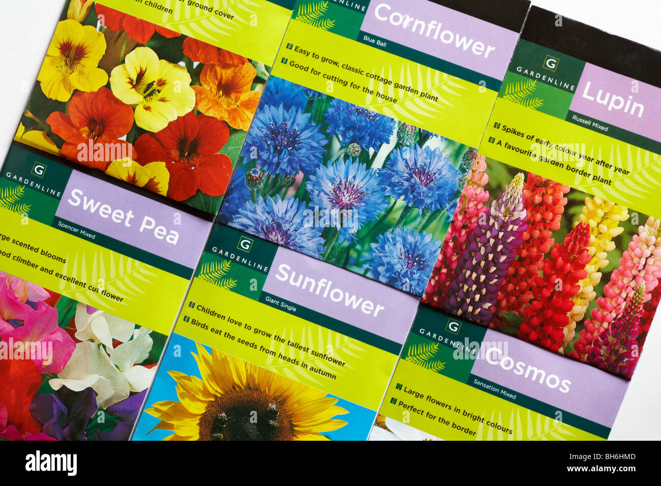 Graines de fleurs Banque de photographies et d’images à haute ...