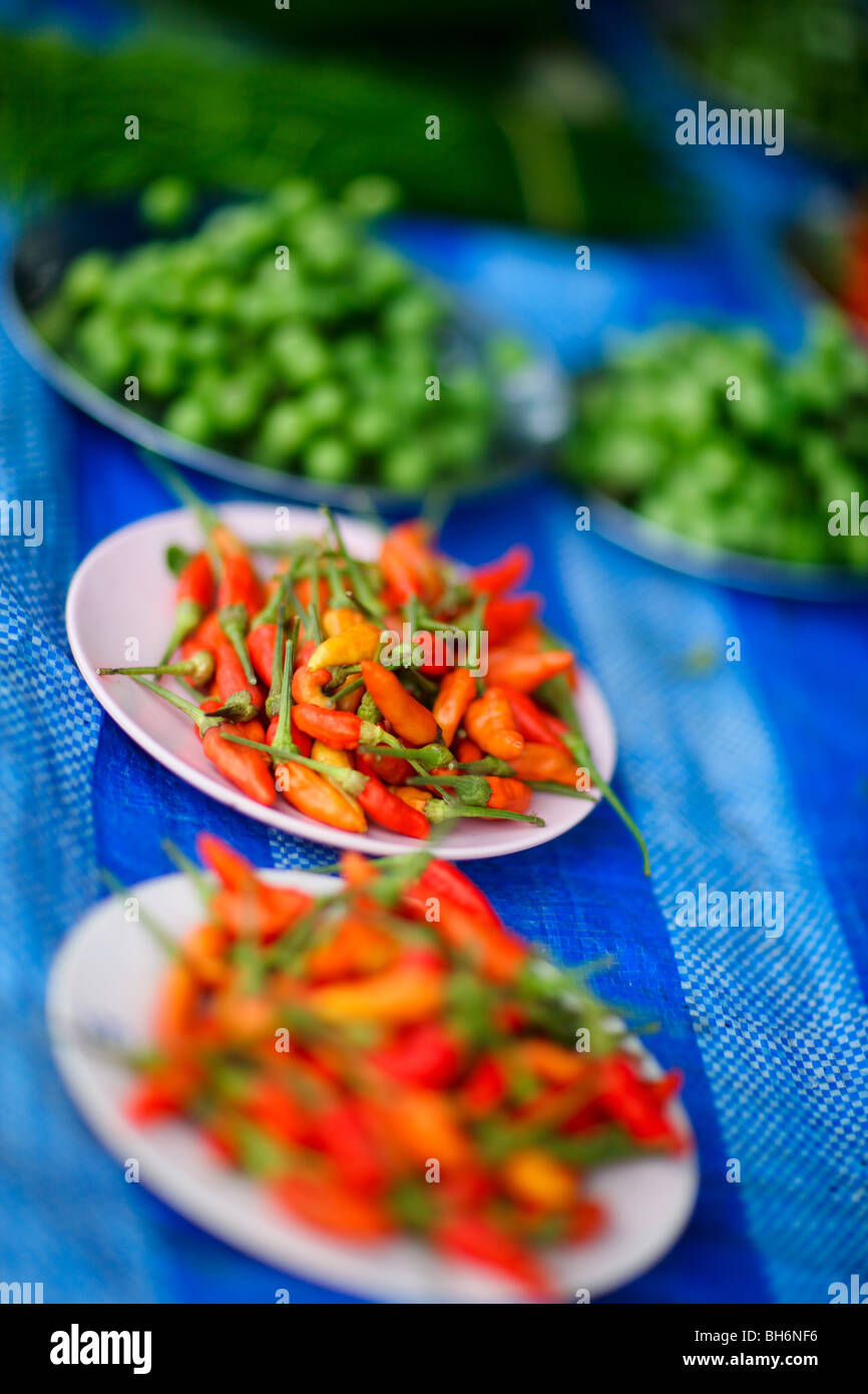 Piment chili frais Banque de photographies et d’images à haute ...