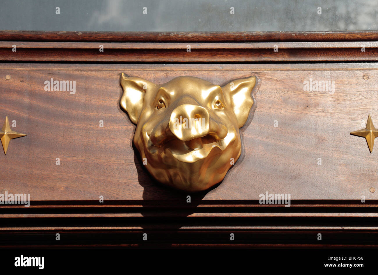 Pig face Banque de photographies et d’images à haute résolution - Alamy