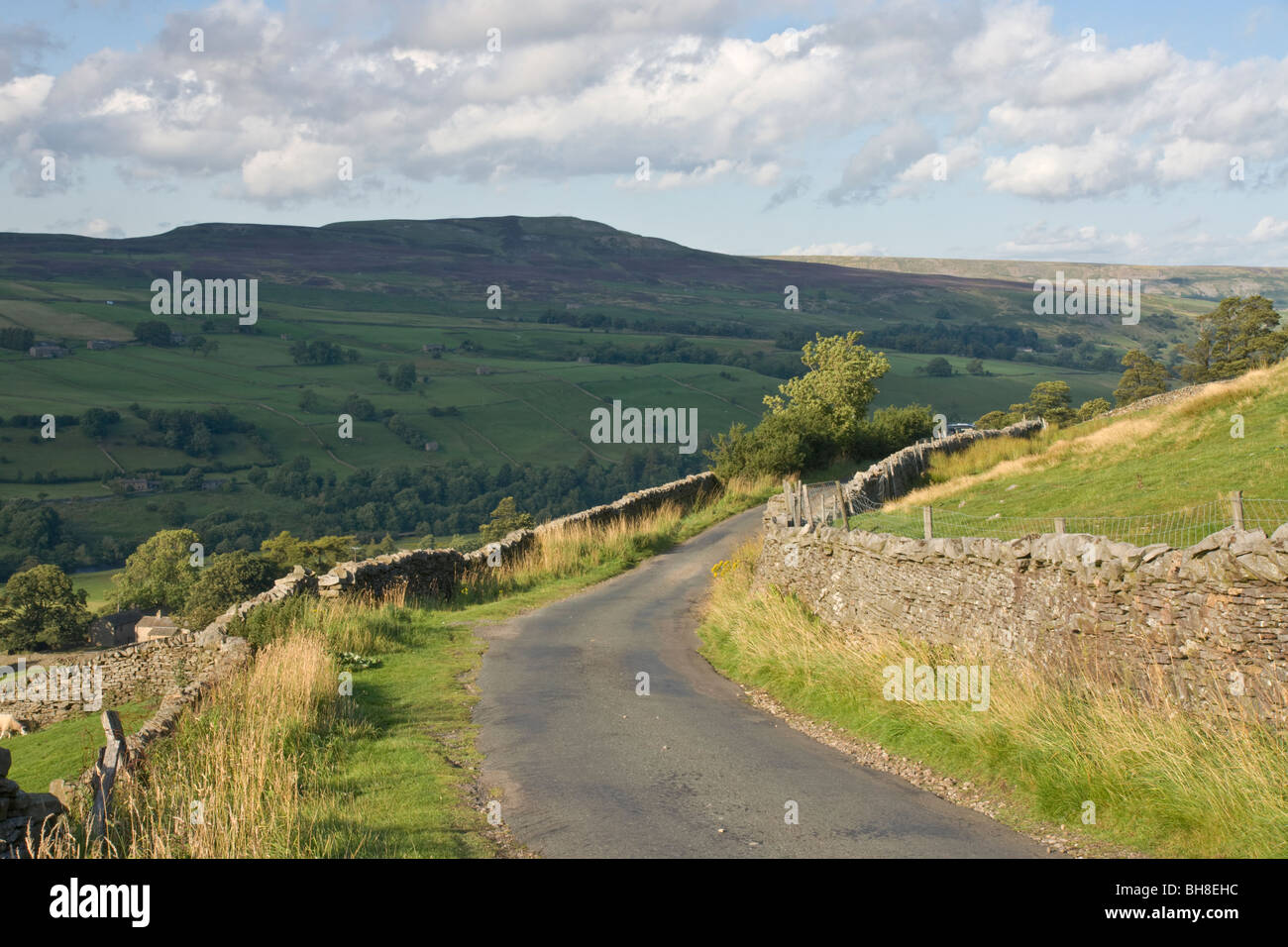 Une étroite route de campagne à travers Swaledale, Yorkshire Dales ...