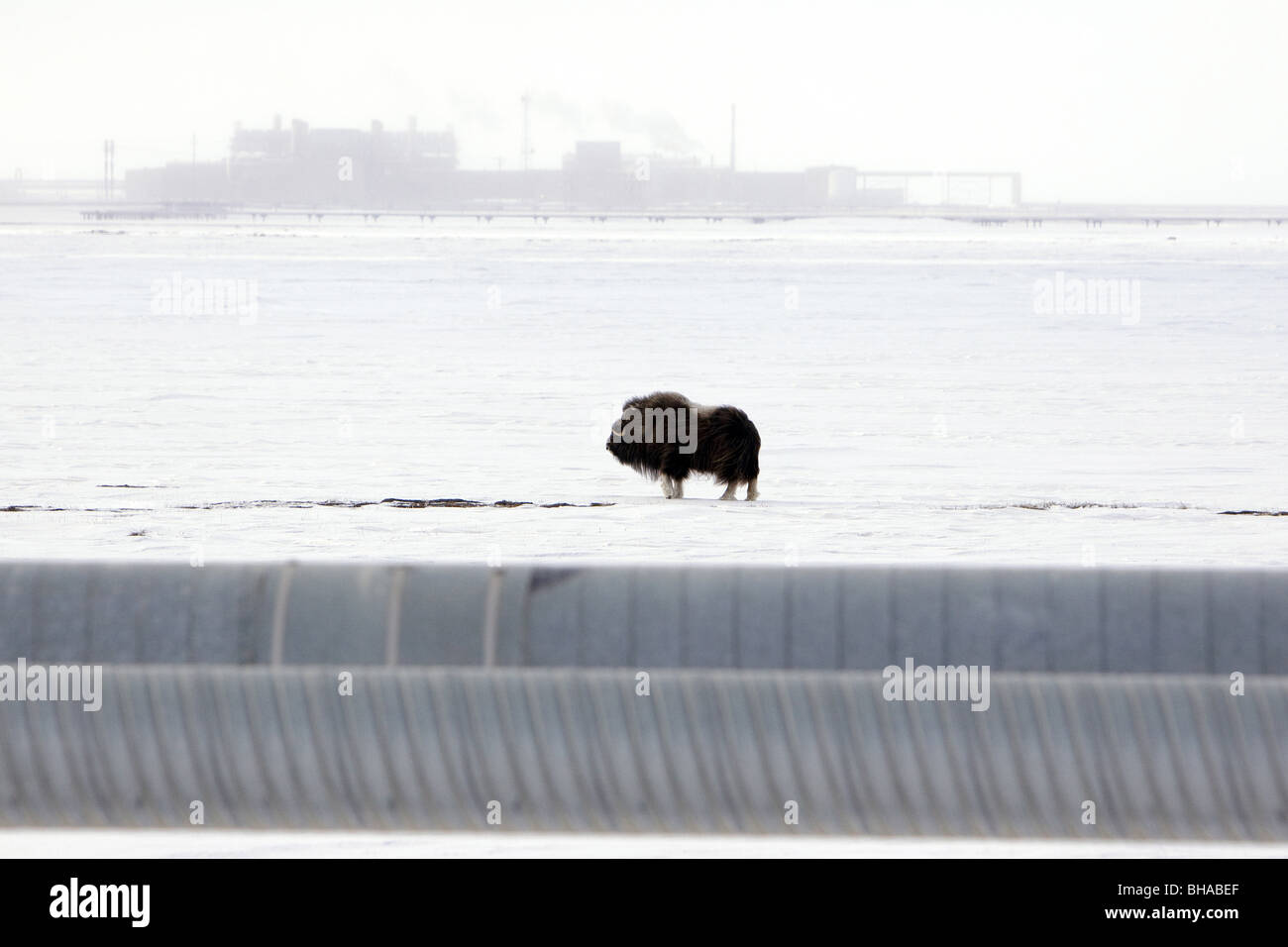 Centrale de compression Banque de photographies et d’images à haute ...