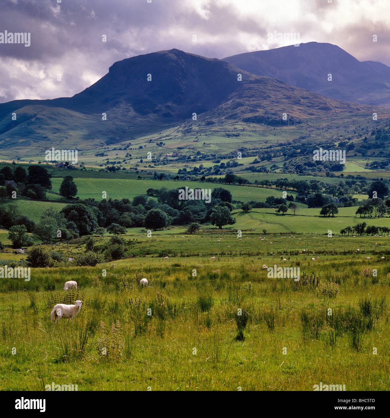 Cader idris Banque de photographies et d’images à haute résolution - Alamy