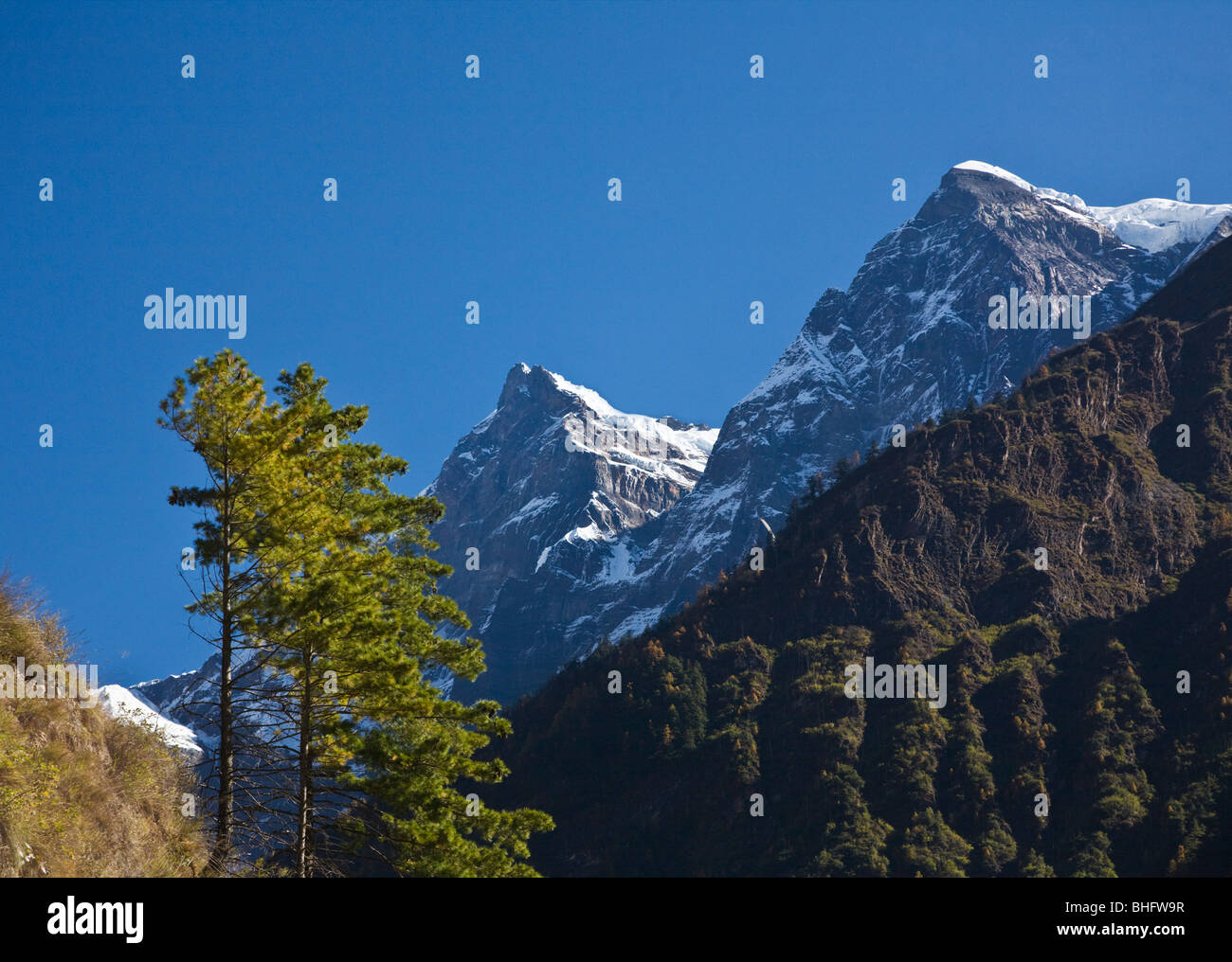 Himalaya trek Banque de photographies et d’images à haute résolution ...