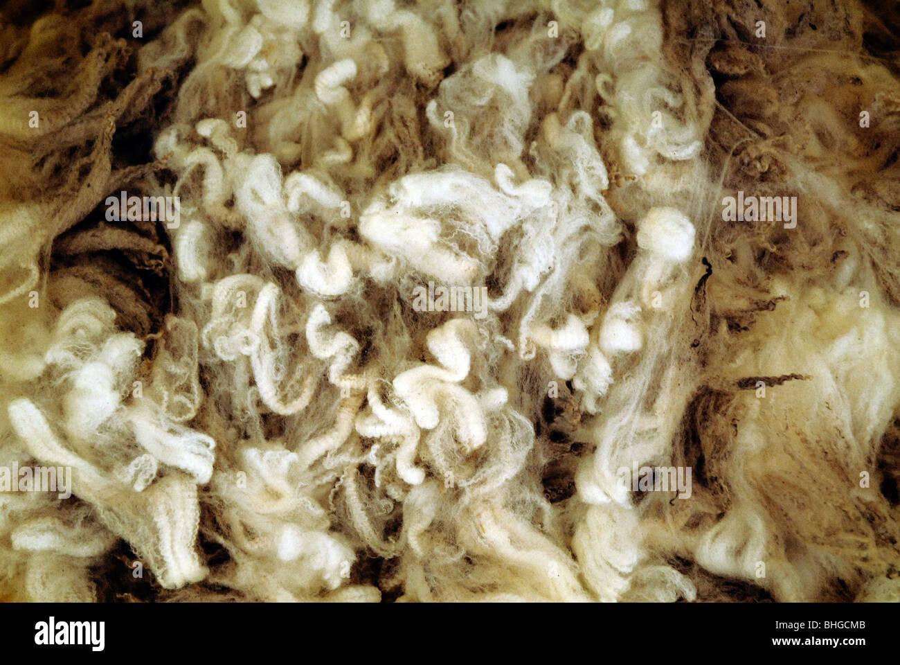 Toison de mouton Banque de photographies et d’images à haute résolution ...