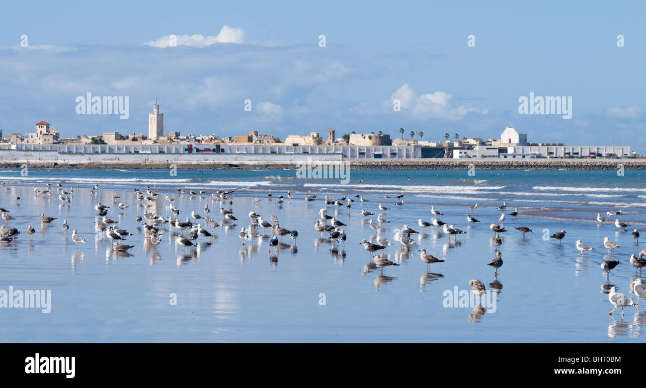 El jadida panoramique Banque de photographies et d’images à haute ...