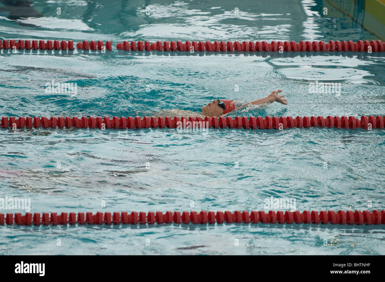 Natation dos crawlé Banque de photographies et d’images à haute ...