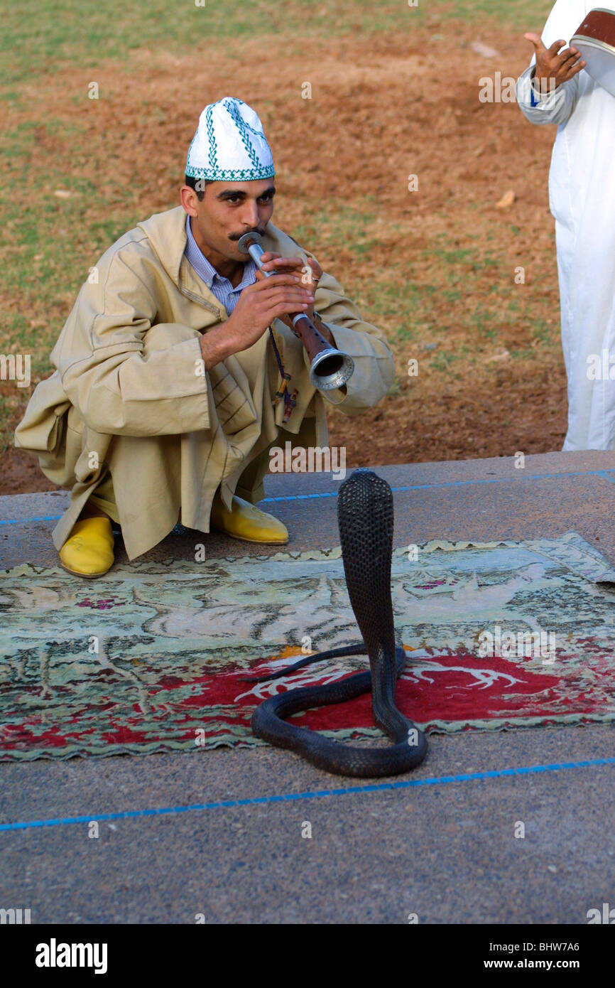 Charmeur de serpent jouant de la flûte. Maroc afrique. MoroccanSnake ...