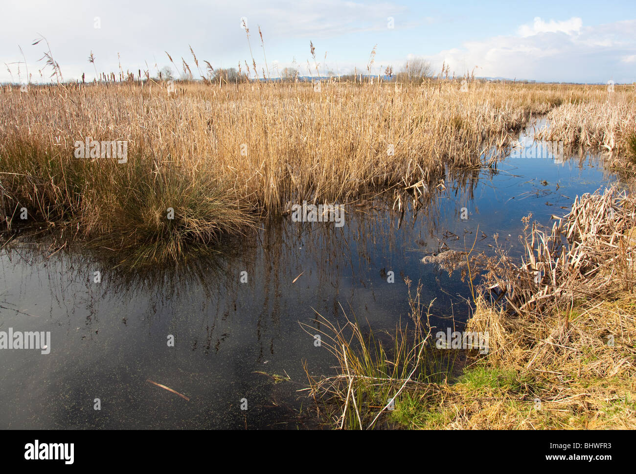 Fossé de drainage inondé Banque de photographies et d’images à haute ...