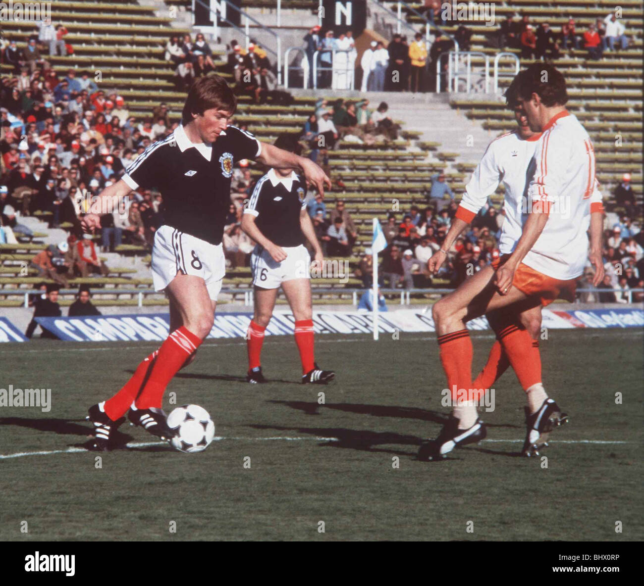 World cup 1978 scotland holland Banque de photographies et d’images à ...