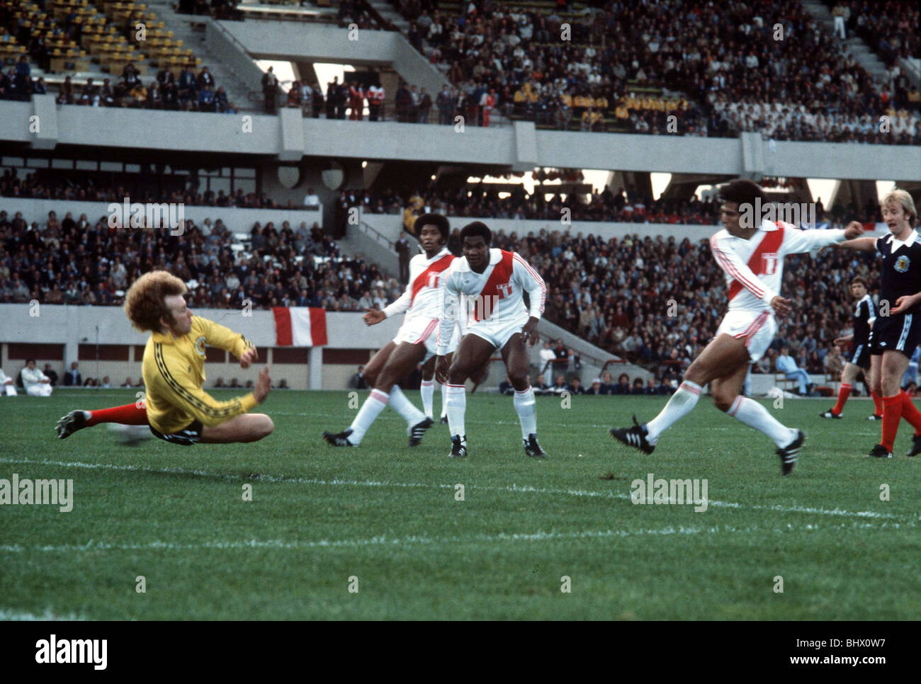 Coupe du monde de football 1978 Banque de photographies et d’images à ...