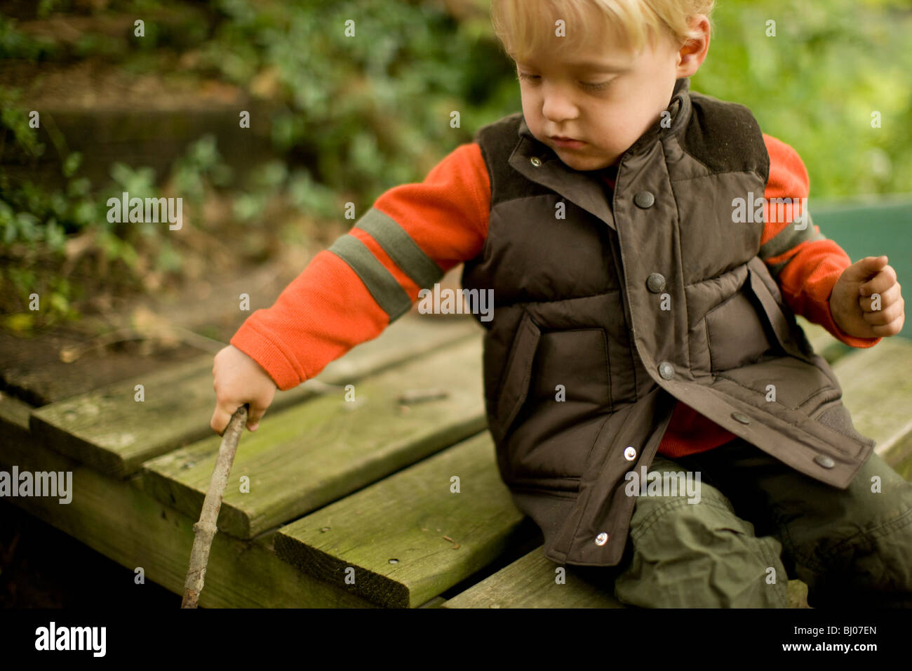 Jouer avec un bâton Banque de photographies et d’images à haute ...