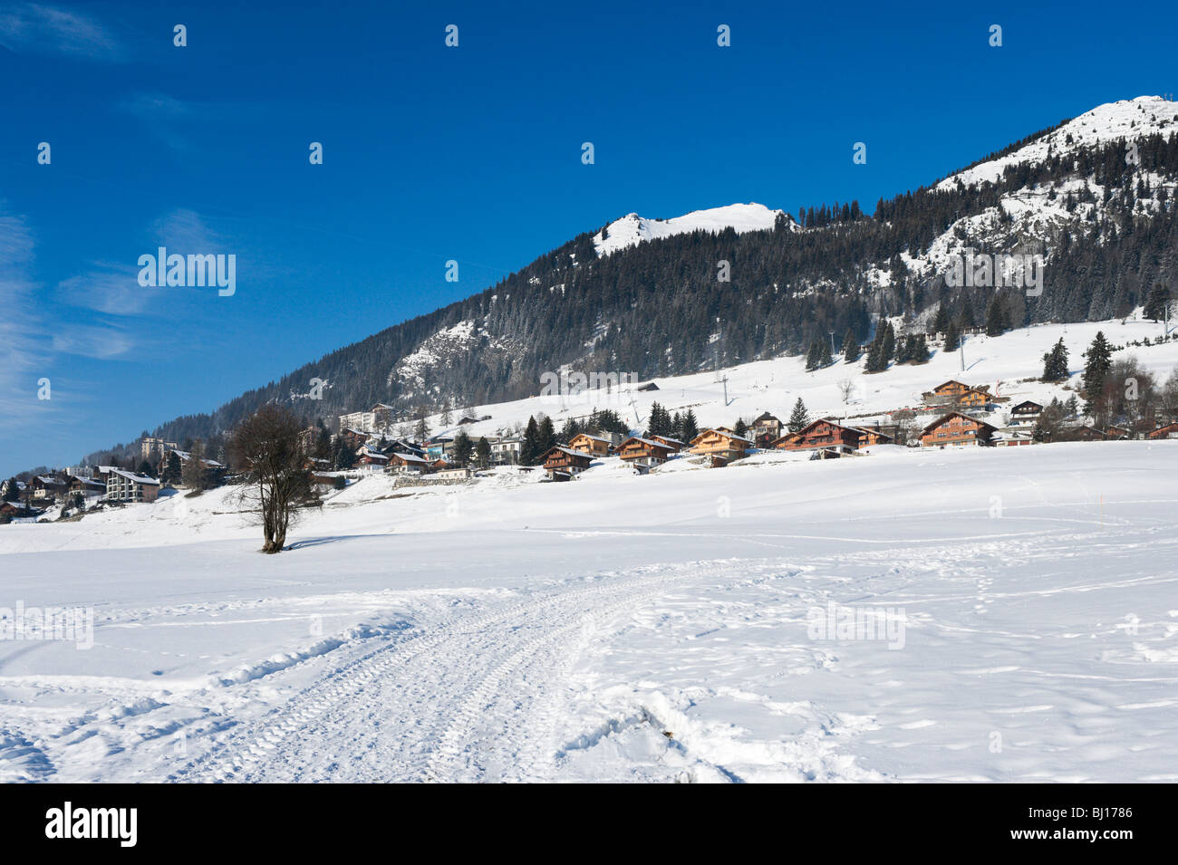 Leysin winter Banque de photographies et d’images à haute résolution ...