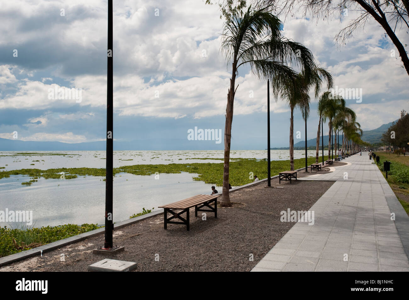Ajijic chapala Banque de photographies et d’images à haute résolution ...