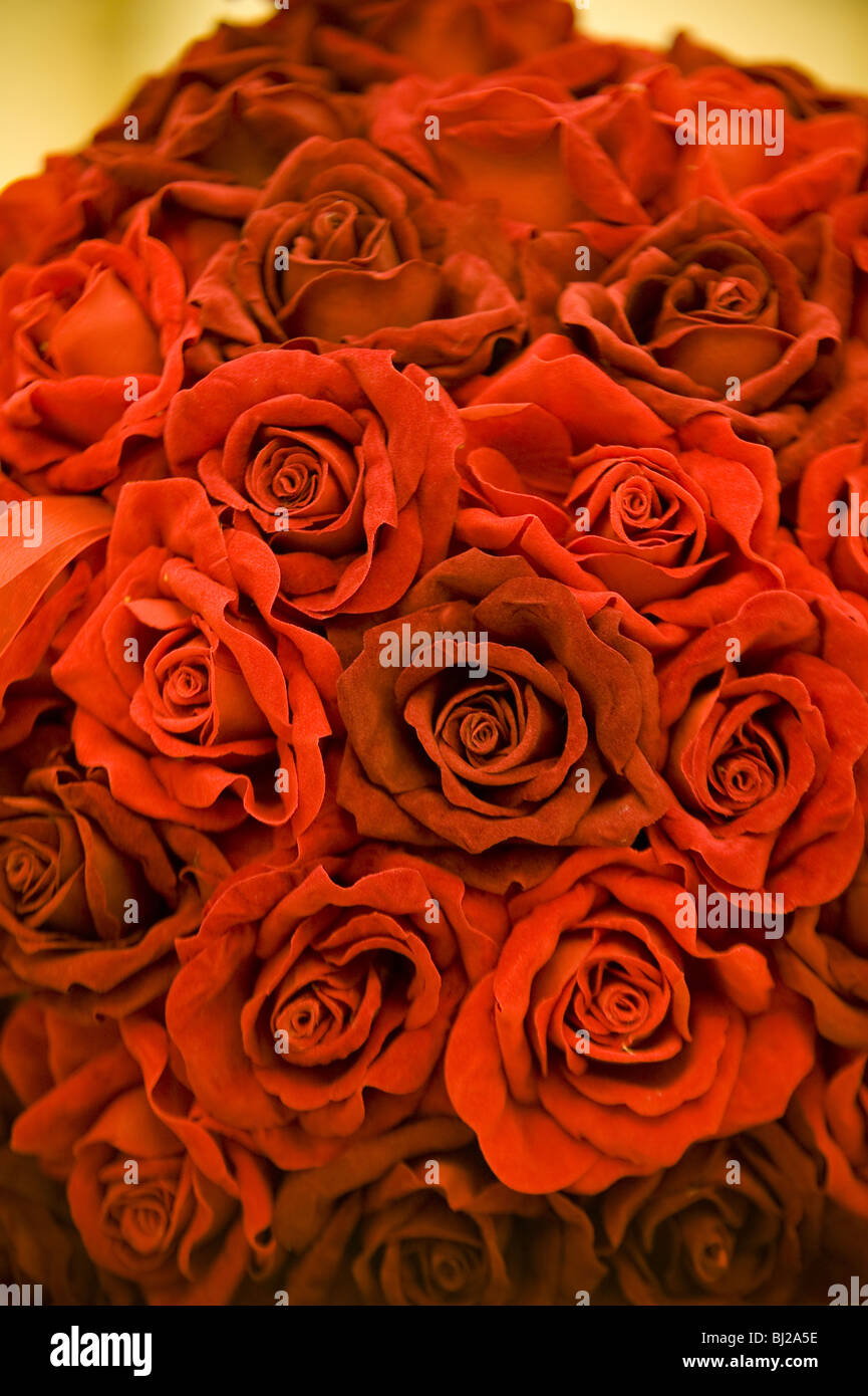 Bouquet De Roses Rouges Banque d'image et photos - Alamy
