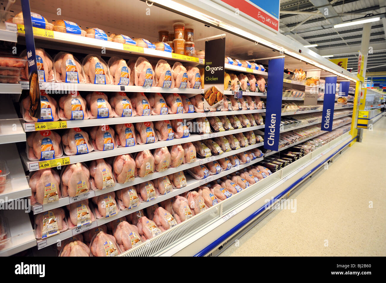 Poulet de supermarché Banque de photographies et d’images à haute ...