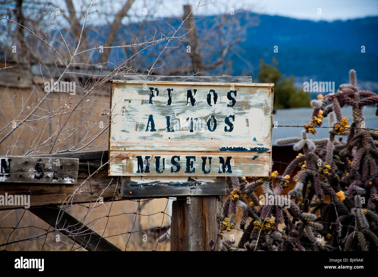 Pinos altos Banque de photographies et d’images à haute résolution - Alamy