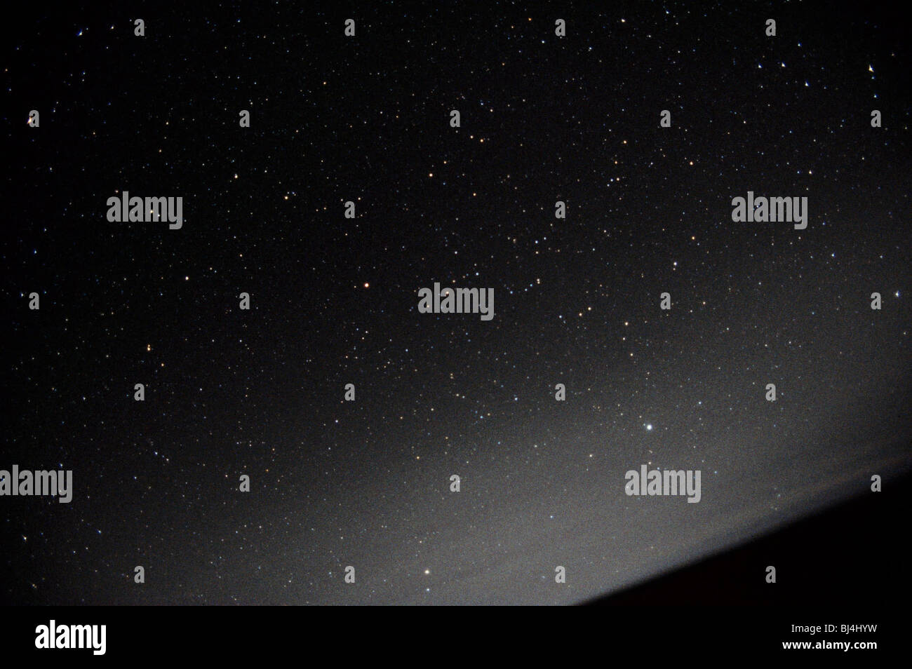 Pisces cetus Banque de photographies et d’images à haute résolution - Alamy