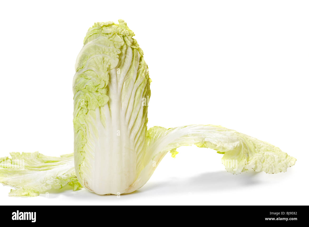 Chou chinois Banque de photographies et d’images à haute résolution - Alamy