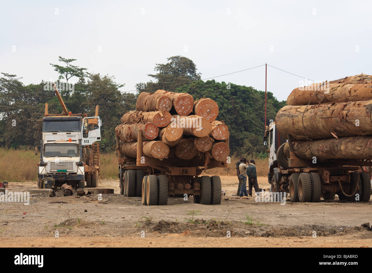 Afrique congo logging truck camion Banque de photographies et d’images ...