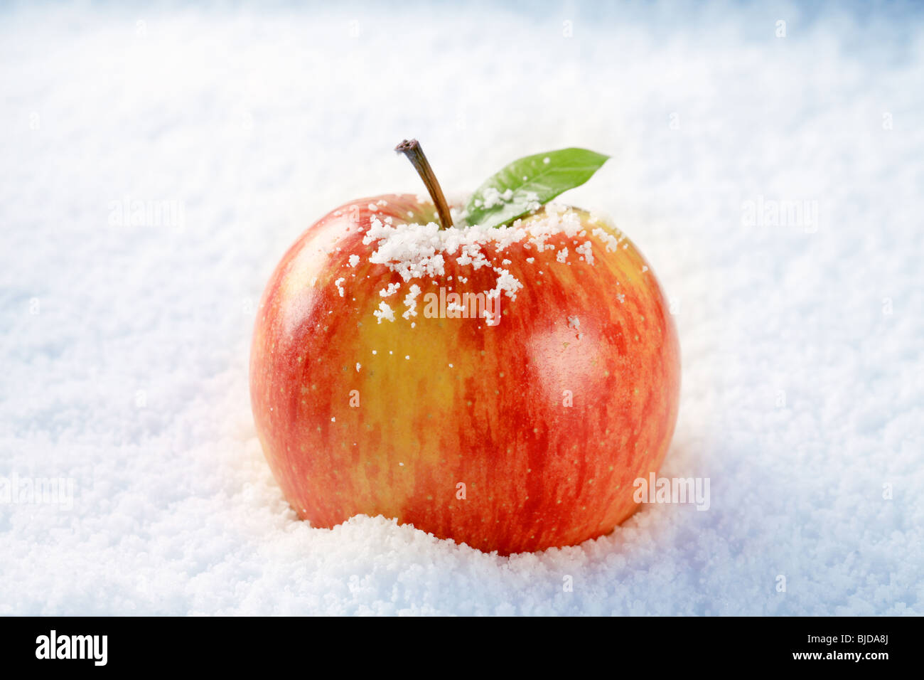 Winter fruit Banque de photographies et d’images à haute résolution - Alamy