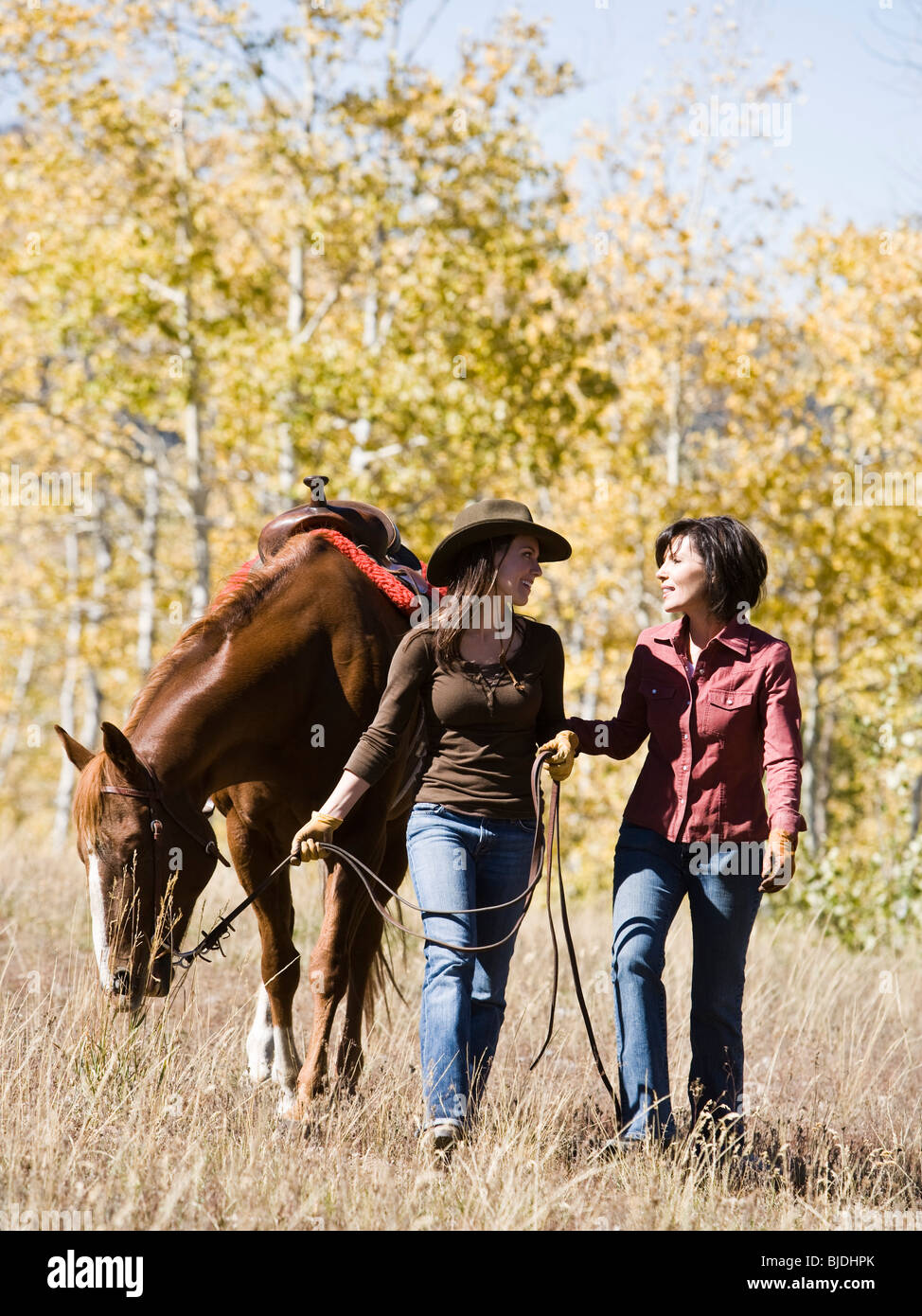 Cheval femmes Banque de photographies et d’images à haute résolution ...