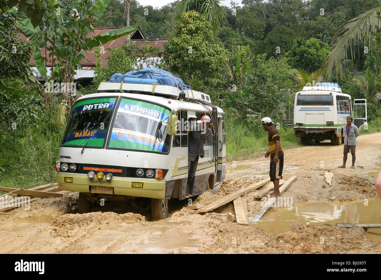 Borneo bus Banque de photographies et d’images à haute résolution - Alamy