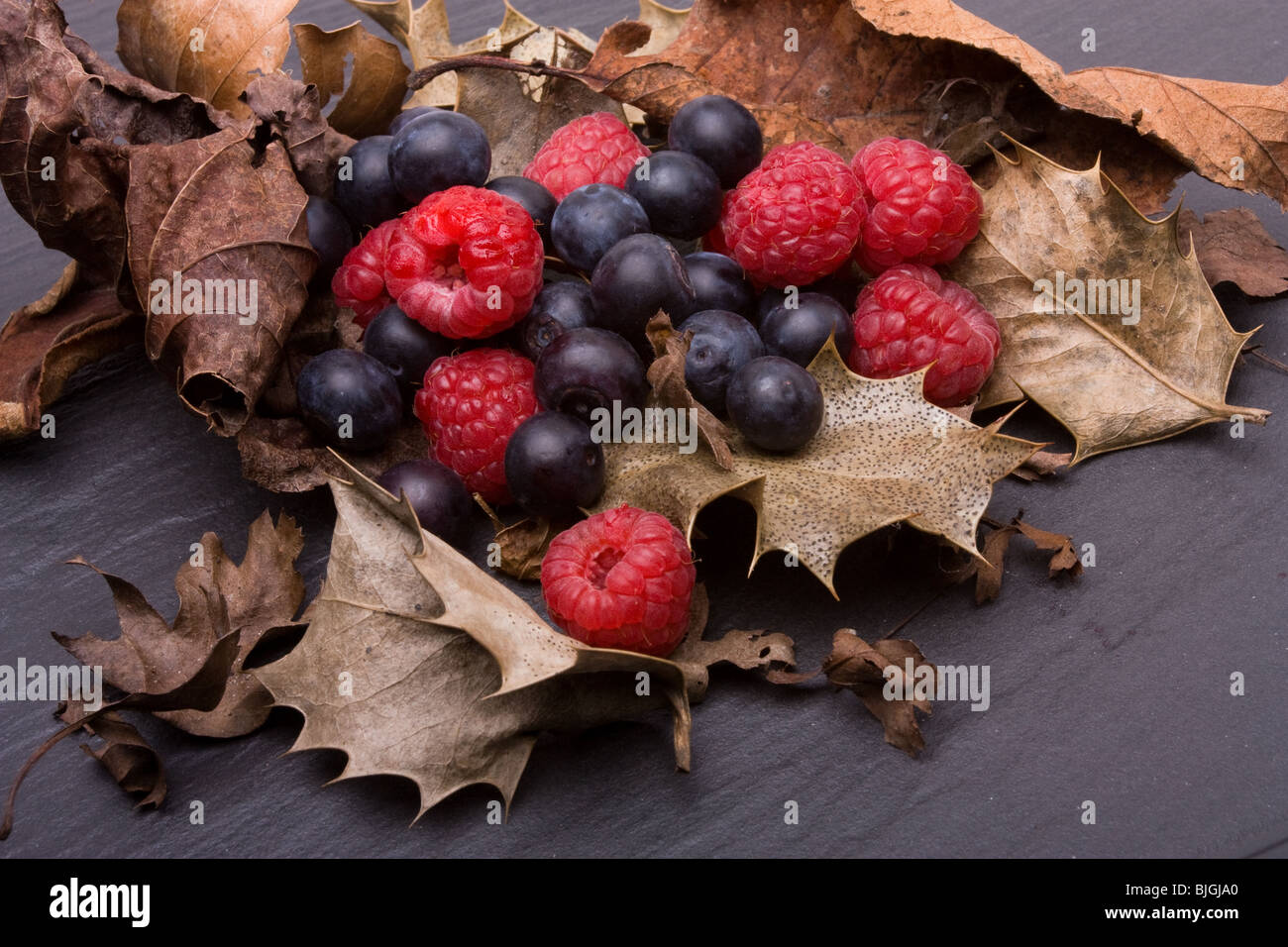 Fruits des bois Banque d'image et photos - Alamy
