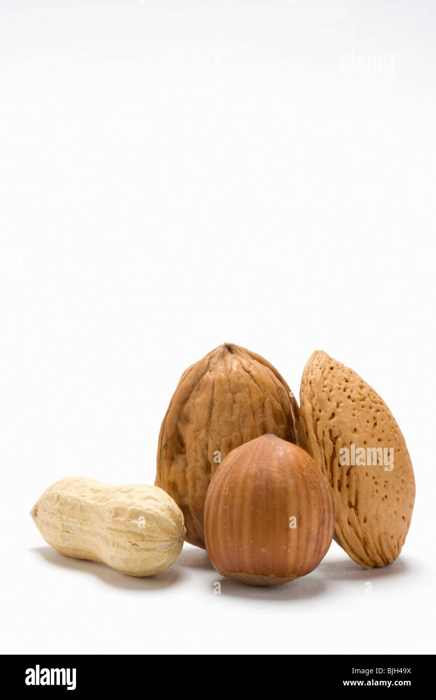 Noisette d'amande Banque de photographies et d’images à haute ...