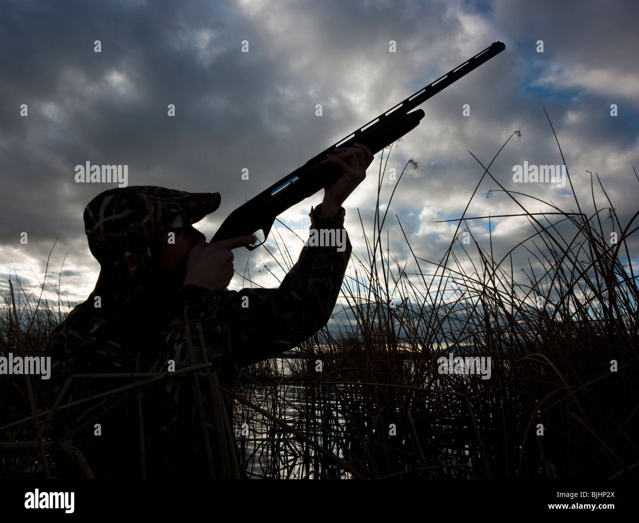 Chasseurs actifs Banque de photographies et d’images à haute résolution ...