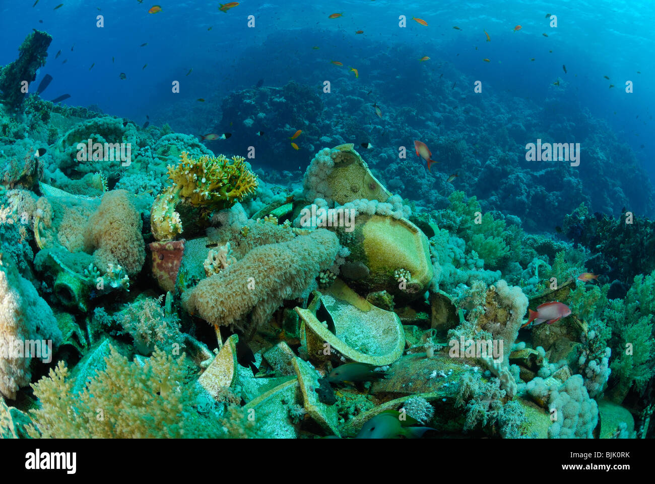 épave au récif de yolanda en mer rouge Banque de photographies et d ...