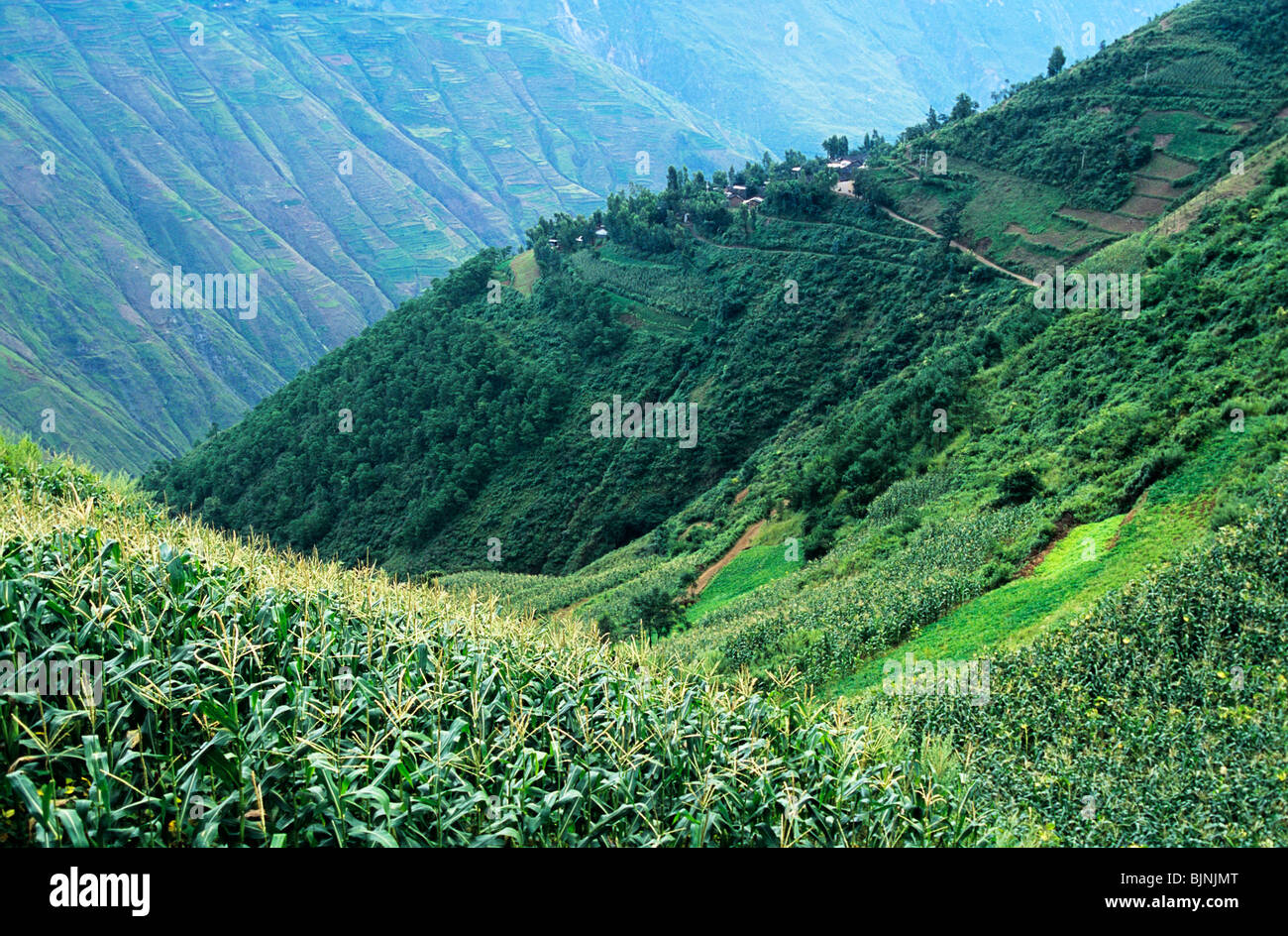 Laterite agriculture Banque de photographies et d’images à haute ...