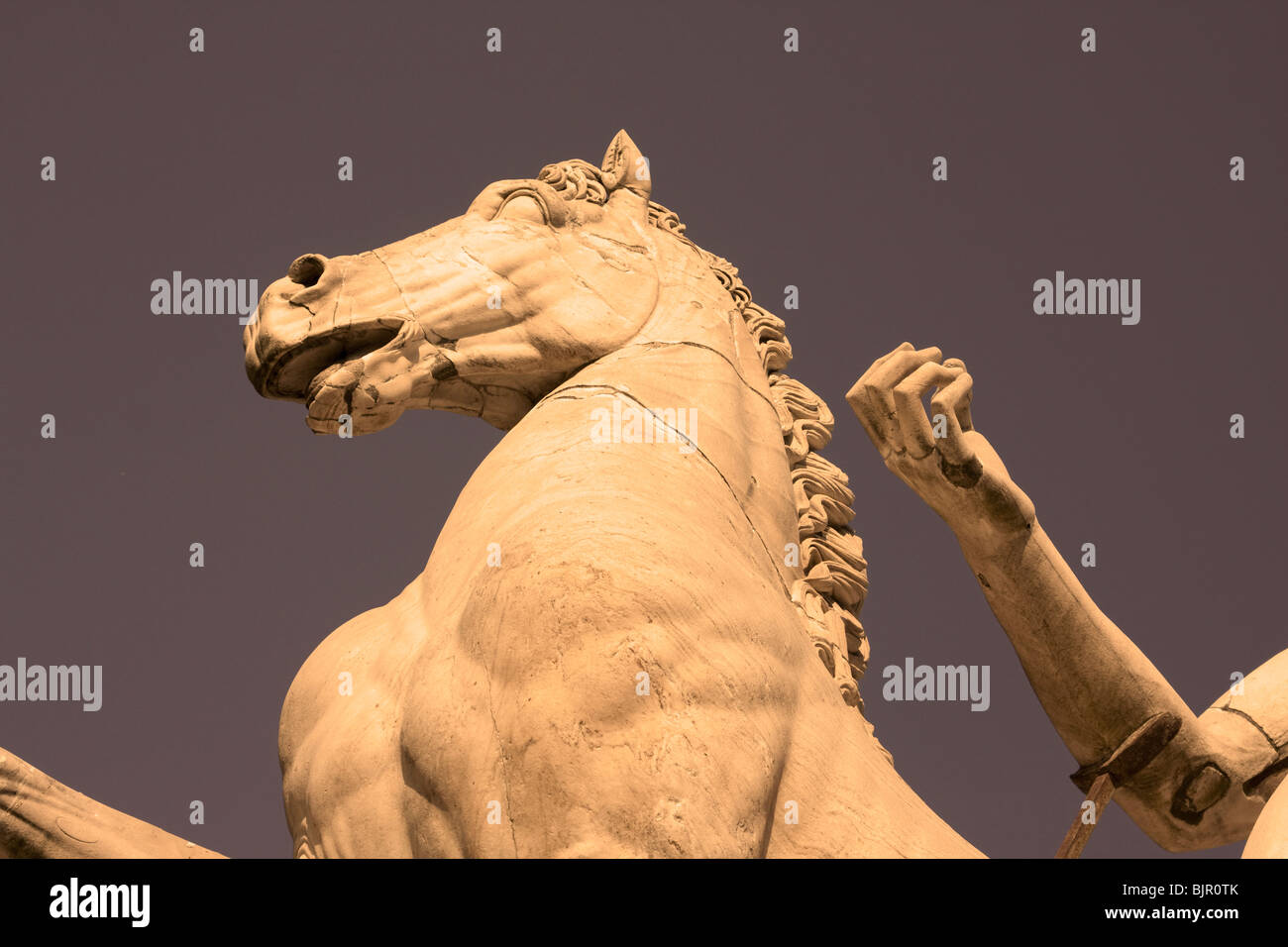 Statue cheval en marbre Banque de photographies et d’images à haute ...