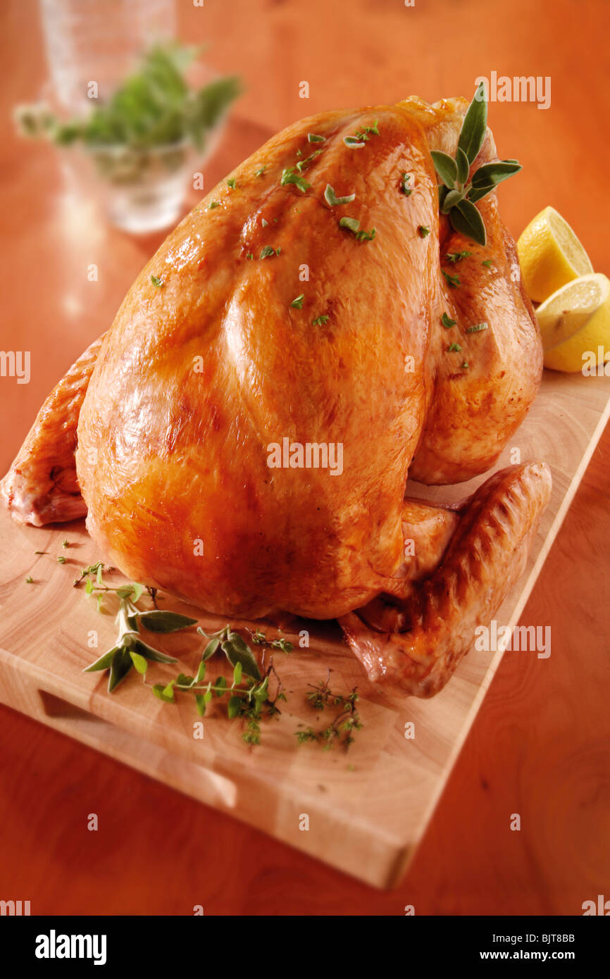Chicken food Banque de photographies et d’images à haute résolution - Alamy