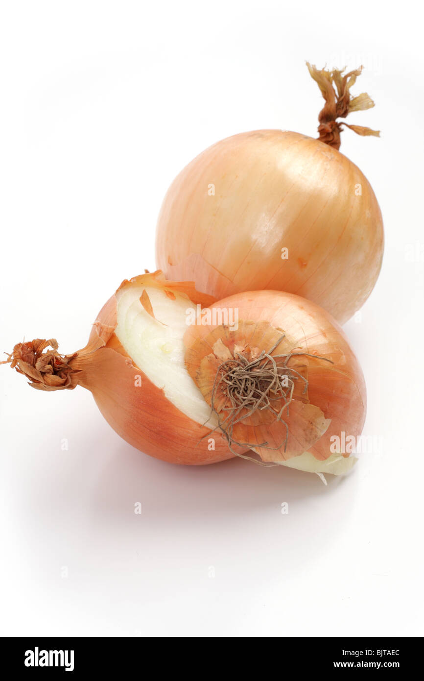 Oignons bruns Banque d'images détourées - Alamy