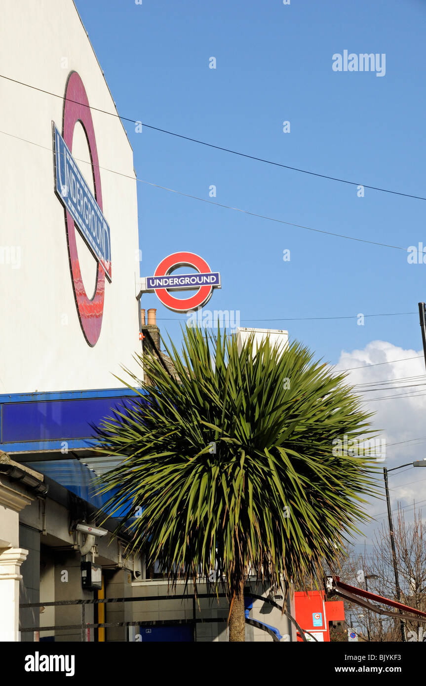 Plante tropicale à l'extérieur de la station de métro Arsenal Highbury ...