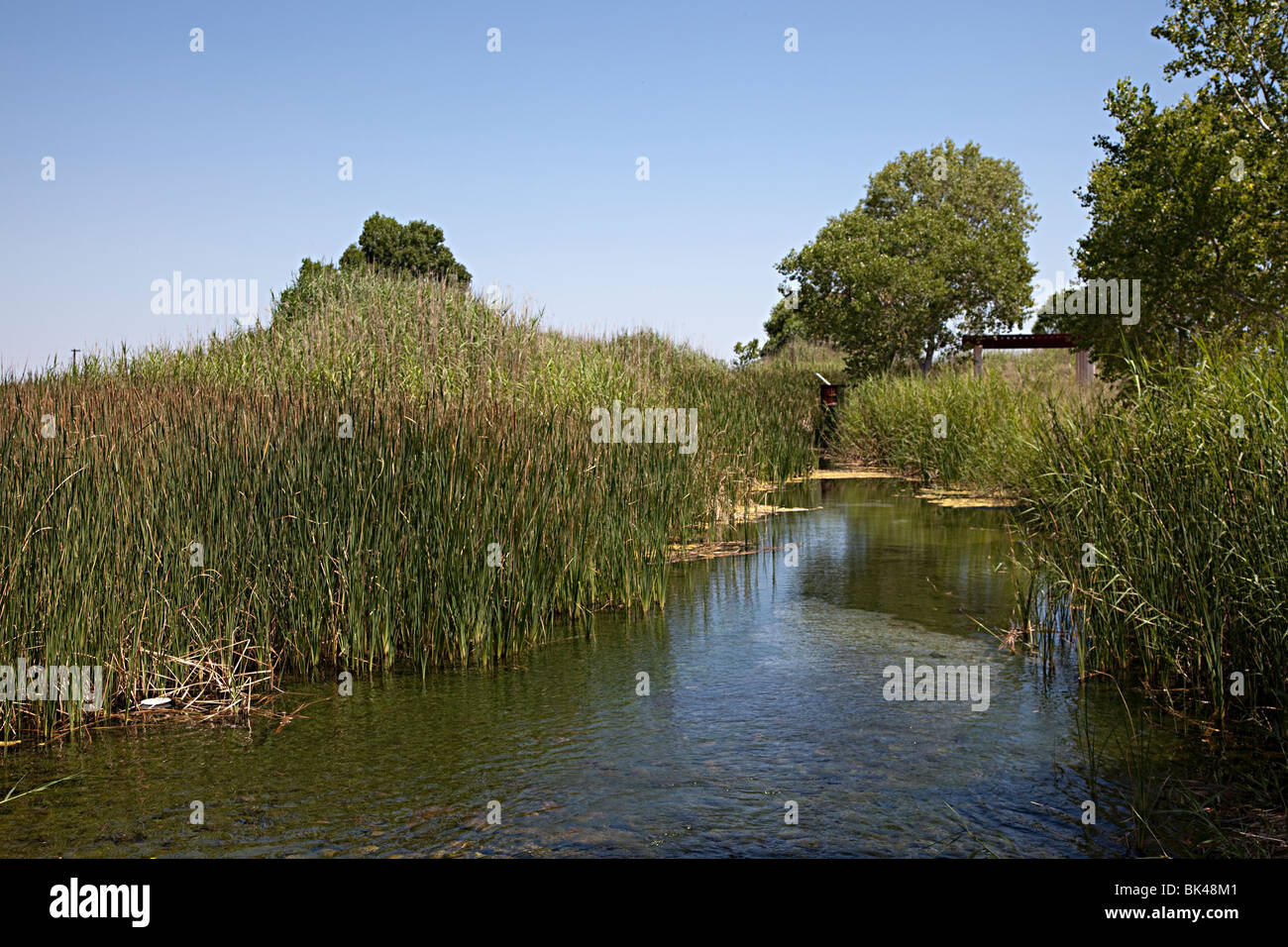Balmorhea au texas Banque de photographies et d’images à haute ...