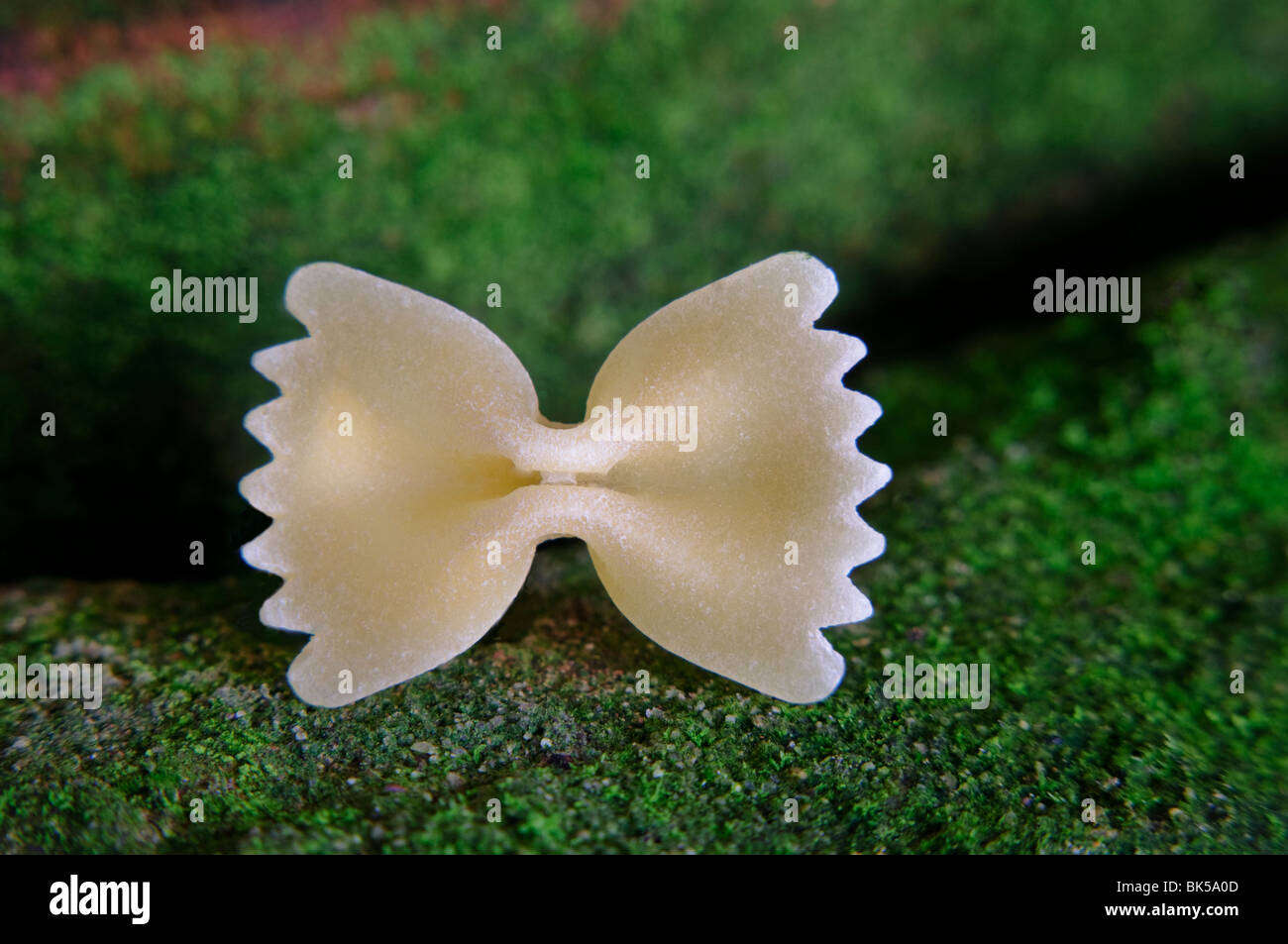 En forme de papillon Banque de photographies et d’images à haute ...