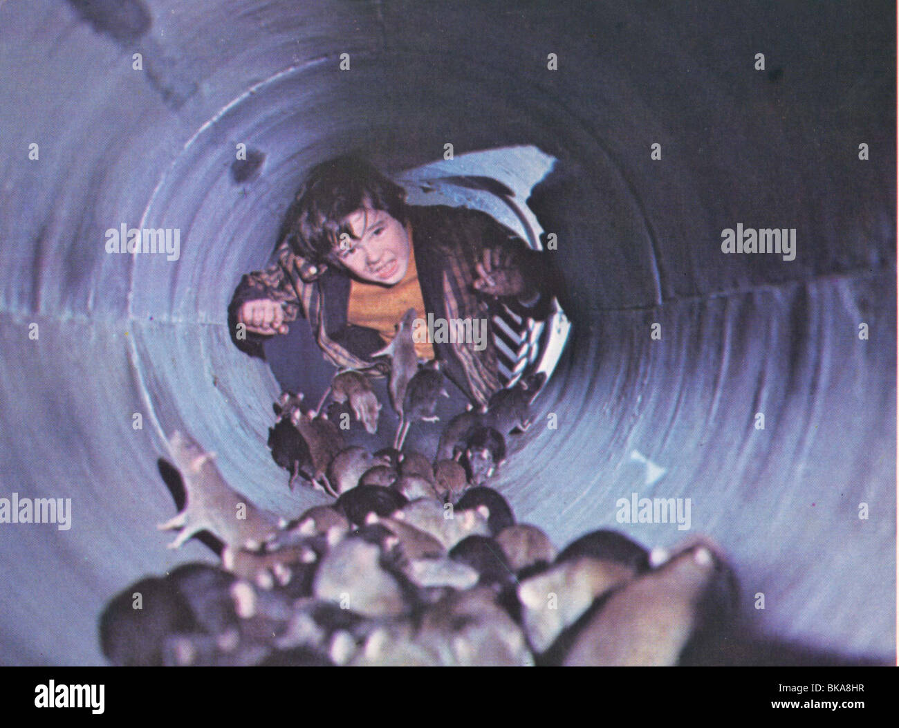 Ben lee Banque de photographies et d’images à haute résolution - Alamy