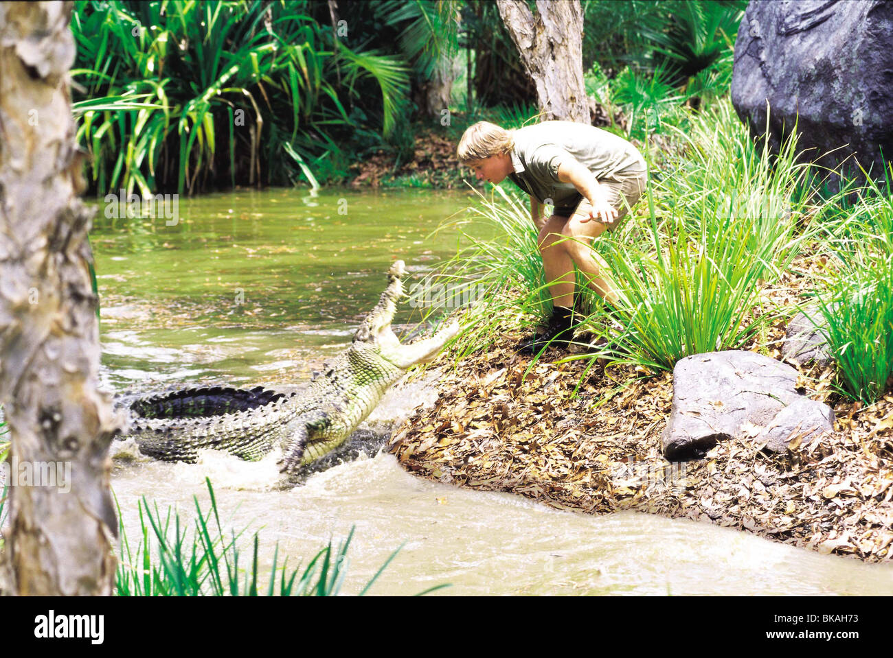 The crocodile hunter collision course Banque de photographies et d ...