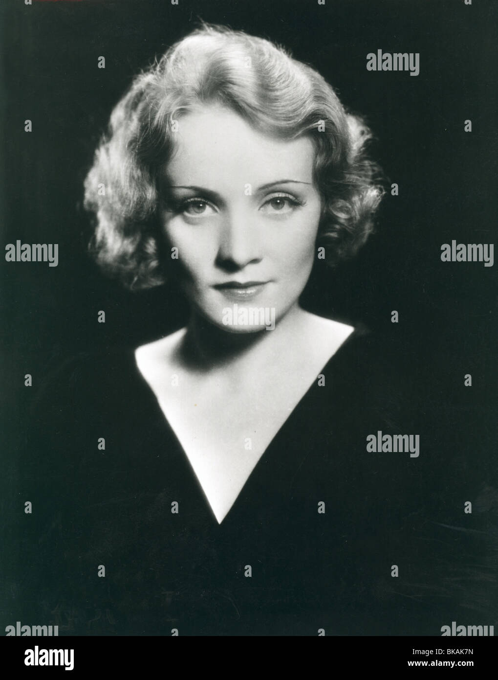Marlène dietrich Banque de photographies et d’images à haute résolution ...
