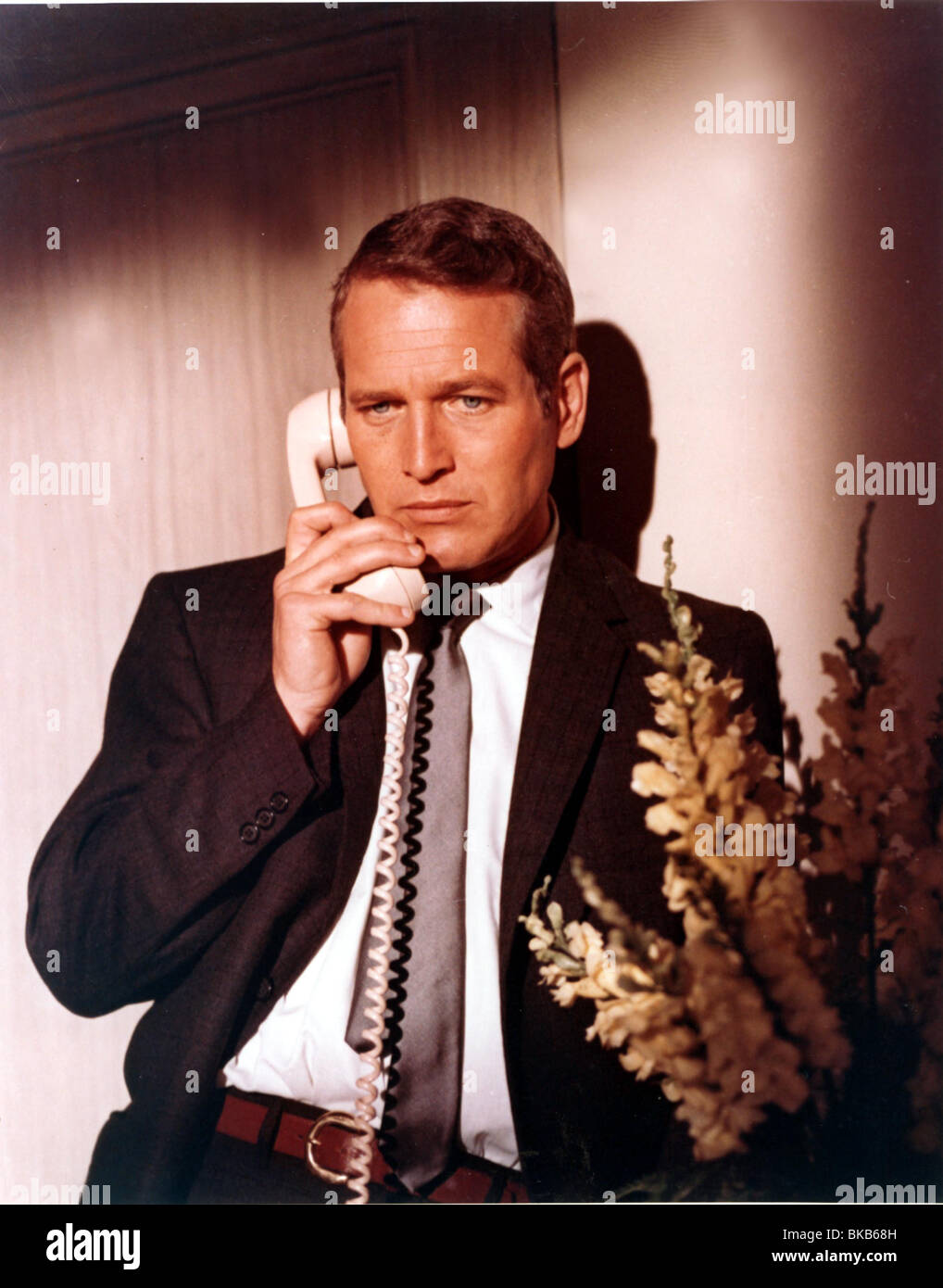 Harper paul newman 1966 Banque de photographies et d’images à haute ...