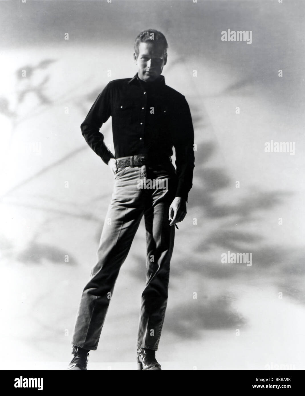 Hud newman Banque de photographies et d’images à haute résolution - Alamy