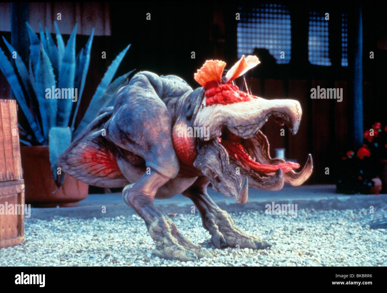 Tremors film Banque de photographies et d’images à haute résolution - Alamy