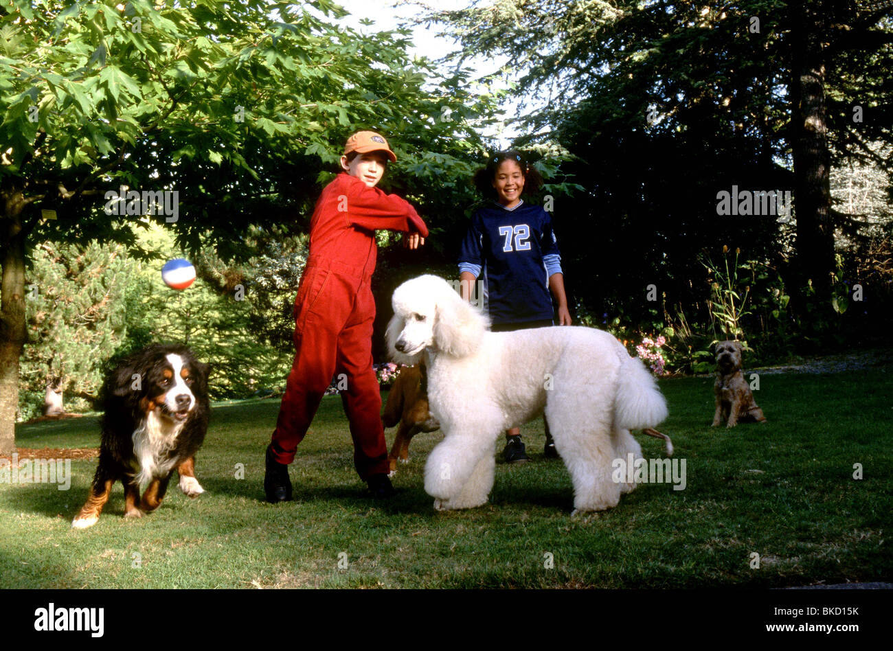 67 films Banque de photographies et d’images à haute résolution - Alamy